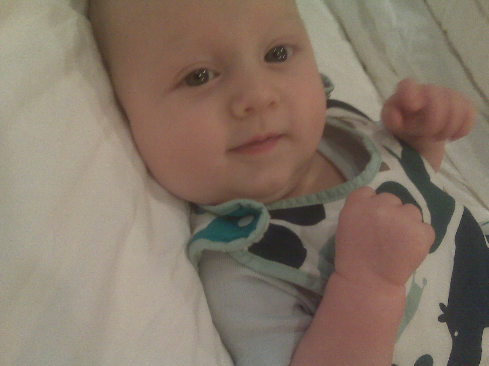 Pack Your Bags, Master Augie | Baby Augie